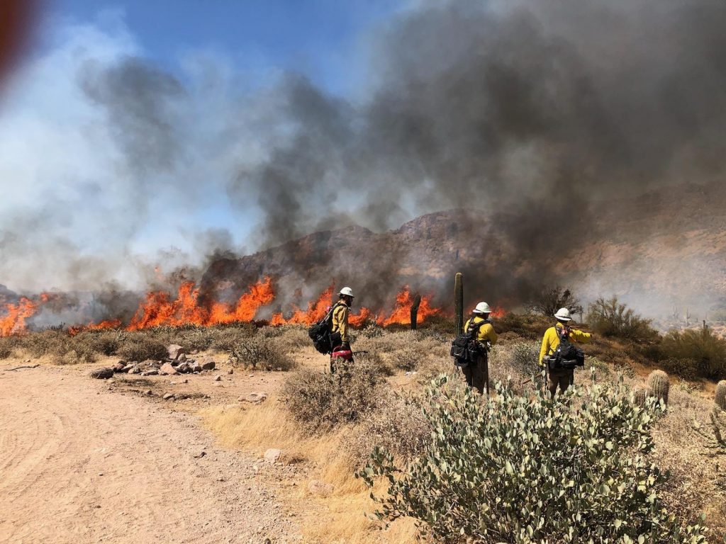 FIRE in the Bulldog Canyon (close call!) - Salt River Wild Horse ...