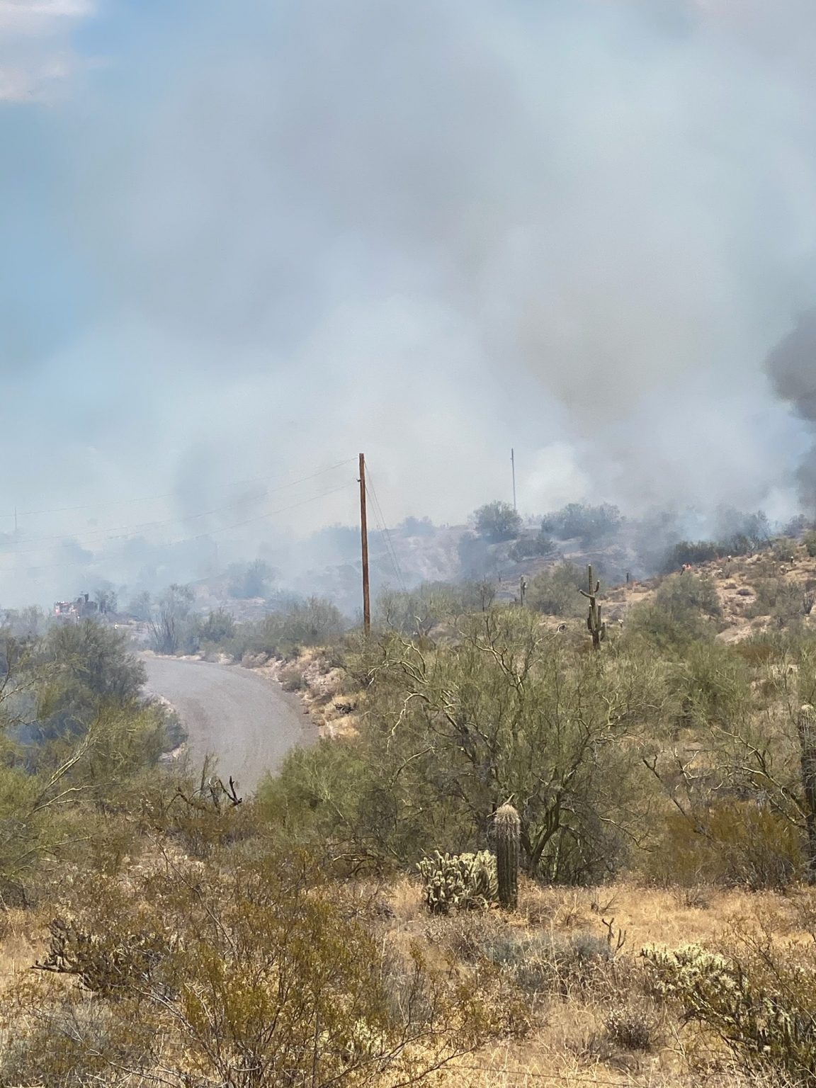 The Goldfield Fire: Prelude - Salt River Wild Horse Management Group