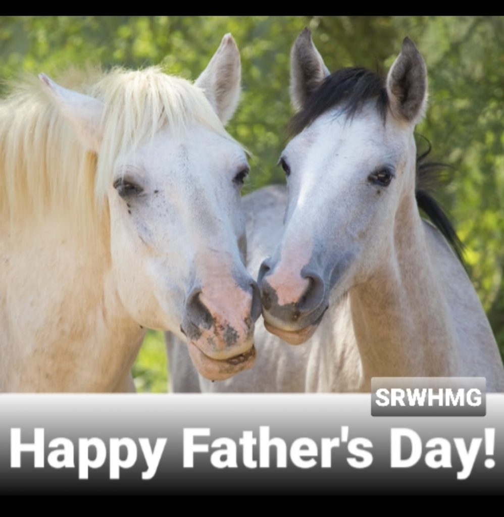 Happy Father's Day! - Salt River Wild Horse Management Group