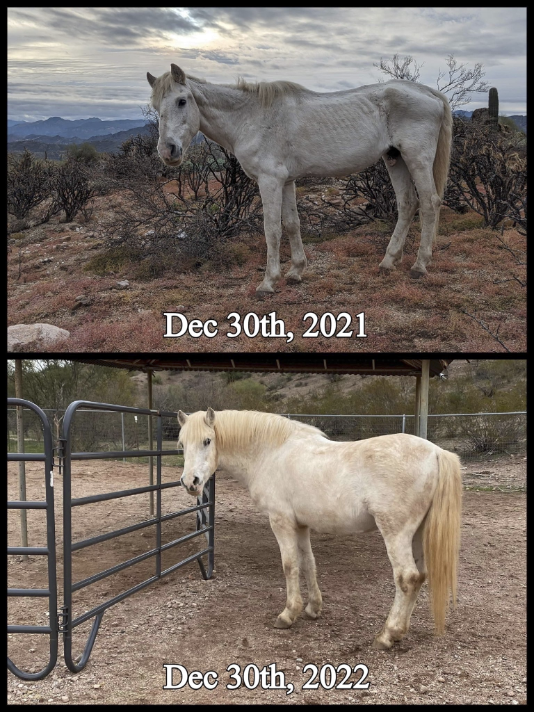 To some the word wild means; " let them suffer". To us, it doesn't ...